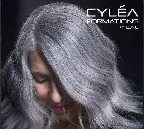 Nouveau Webcatalogue 02 2024 - Cyléa Formations